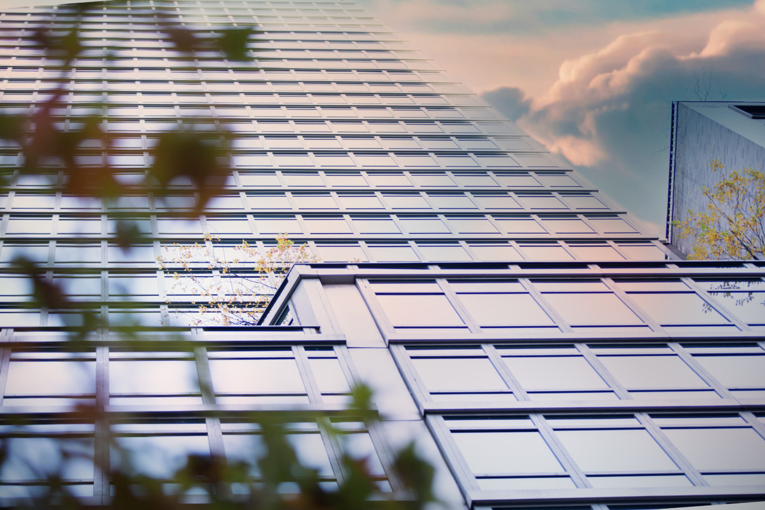 Property Management Services | NYC & South Florida | AKAM