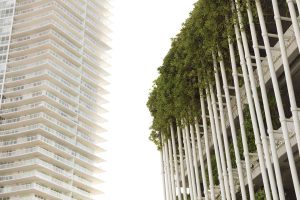 Property Management Services | NYC & South Florida | AKAM